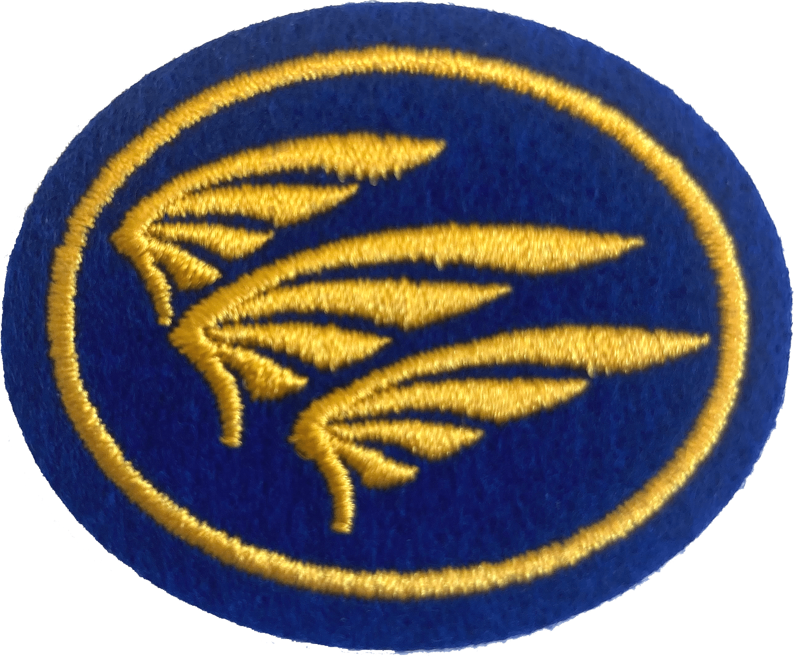 AY Honor Three Angels' Messages Requirements - Pathfinder Wiki