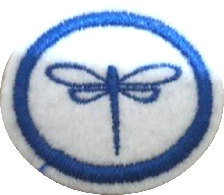 File:Odonates (SAD) AY Honor.png - Pathfinder Wiki