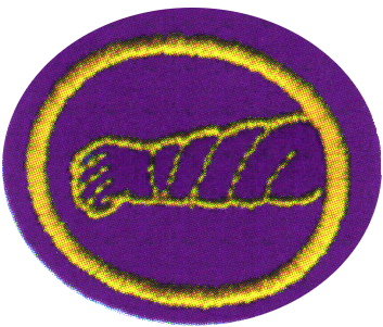 File:Health and Healing AY Honor.png - Pathfinder Wiki