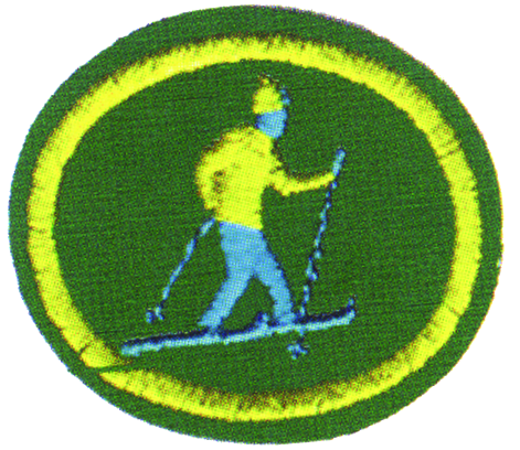 File:Skiing Cross Country AY Honor.png - Pathfinder Wiki