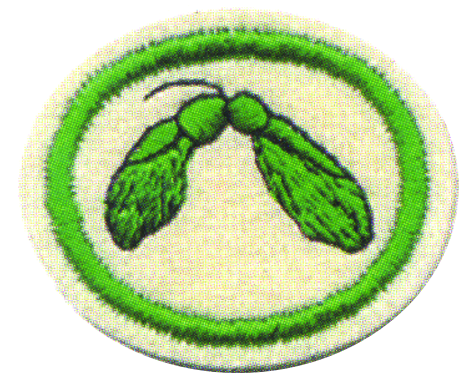 File:Seeds AY Honor.png - Pathfinder Wiki