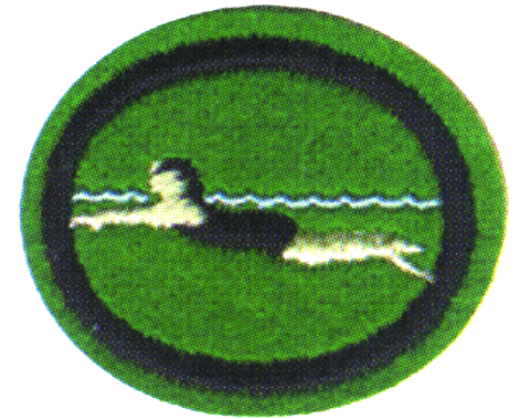 File:Swimming Beginners AY Honor.png - Pathfinder Wiki