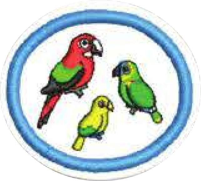 File:Macaws, Parrots and Parakeets AY Honor.png - Pathfinder Wiki