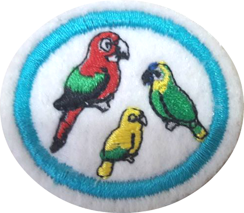 File:Macaws, Parrots and Parakeets AY Honor.png - Pathfinder Wiki