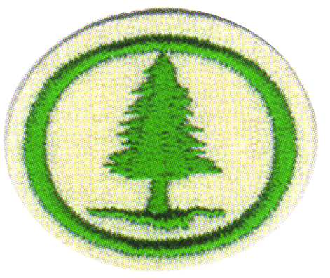 File:Trees AY Honor.png - Pathfinder Wiki