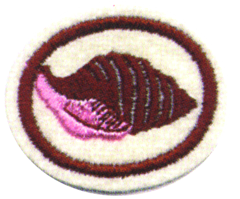 File:Shells AY Honor.png - Pathfinder Wiki