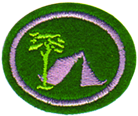 File:Camping Skills IV AY Honor.png - Pathfinder Wiki