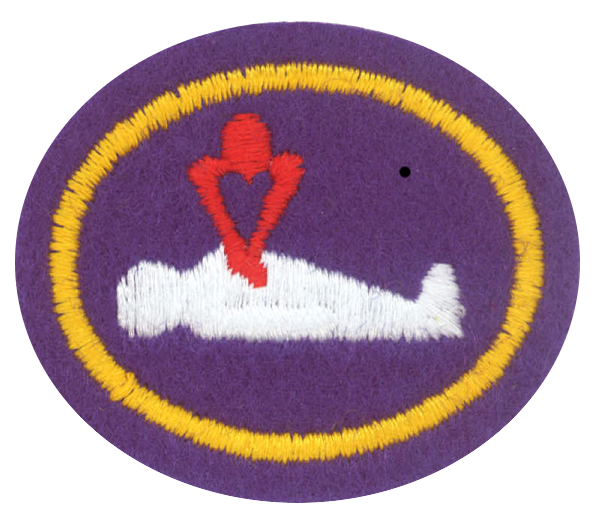 File:CPR AY Honor.png - Pathfinder Wiki