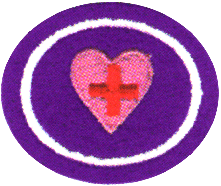 File:First Aid Standard AY Honor.png - Pathfinder Wiki