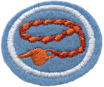 File:Braiding AY Honor.png - Pathfinder Wiki