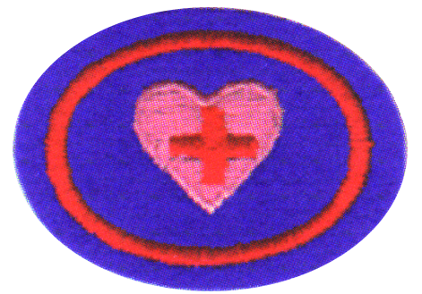 File:First Aid Basic AY Honor.png - Pathfinder Wiki