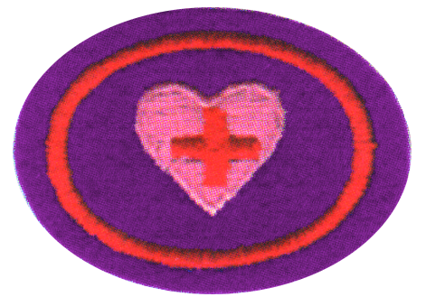 File:First Aid Basic AY Honor.png - Pathfinder Wiki
