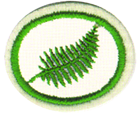 File:Ferns AY Honor.png - Pathfinder Wiki