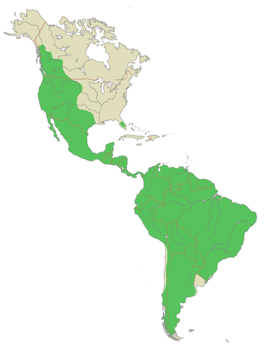 AY Honor Cats Answer Key - Pathfinder Wiki