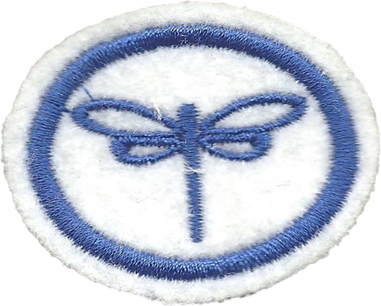 File:Odonates (SAD) AY Honor.png - Pathfinder Wiki