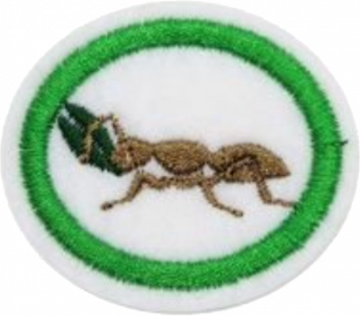 AY Honor Ants - Pathfinder Wiki