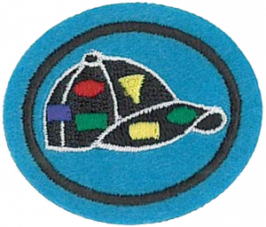 AY Honor Pin Trading - Pathfinder Wiki