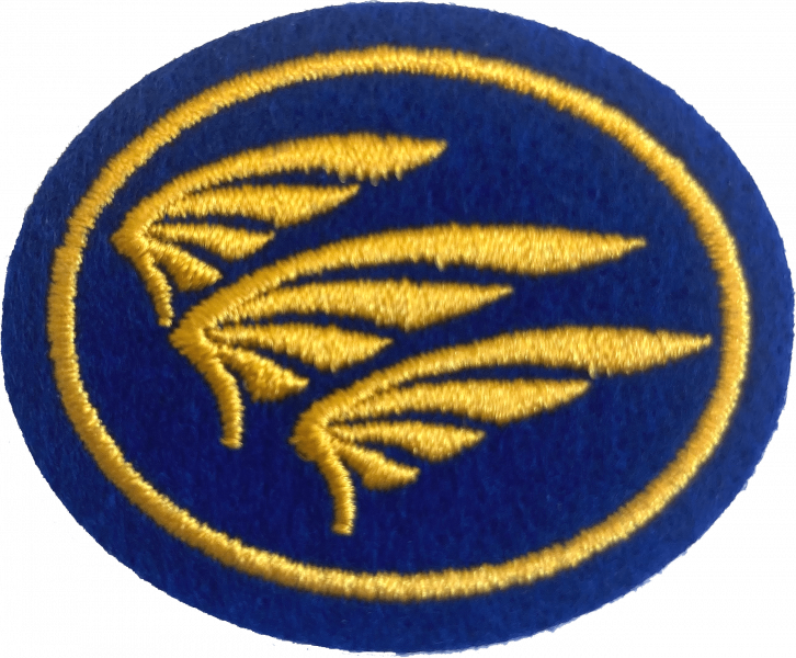 File:Three Angels' Messages AY Honor.png - Pathfinder Wiki