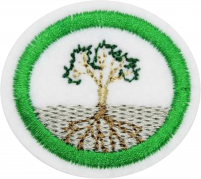 AY Honor Plant Physiology - Pathfinder Wiki