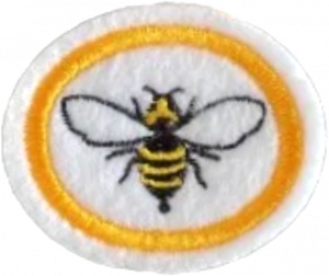 AY Honor Bees and Wasps - Pathfinder Wiki
