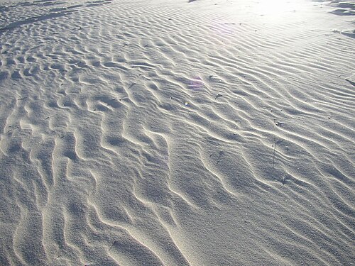 AY Honor Geology Answer Key - Pathfinder Wiki