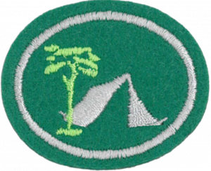 Especialidades JA/Campamento IV/Respuestas - Pathfinder Wiki