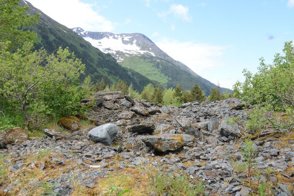 AY Honor Glaciers Answer Key - Pathfinder Wiki