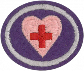 File:First Aid Standard AY Honor.png - Pathfinder Wiki