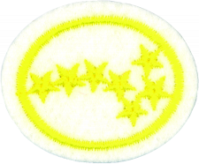 AY Honor Stars Answer Key used by General Conference - Pathfinder Wiki