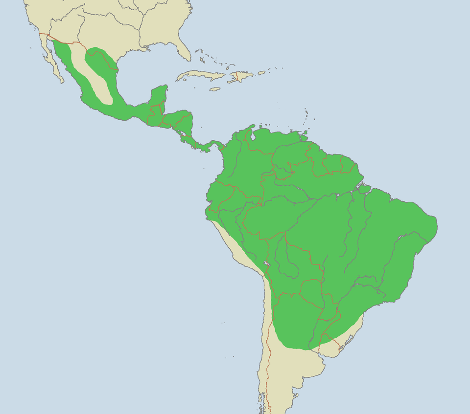 AY Honor Cats Answer Key - Pathfinder Wiki