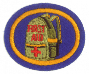 AY Honor Disaster Ministries - Pathfinder Wiki