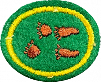 Outdated Insignia - Pathfinder Wiki